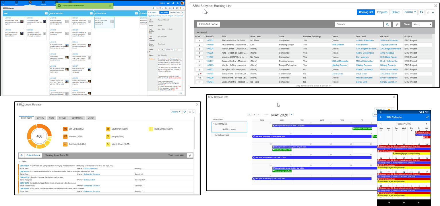 Solutions Business Manager